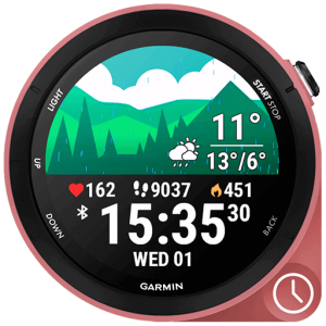 12 Best Garmin Watch Faces: For Vivoactive, Forerunner, Fenix, & Venu ...
